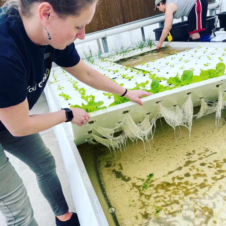 Locations | HU Aquaponics